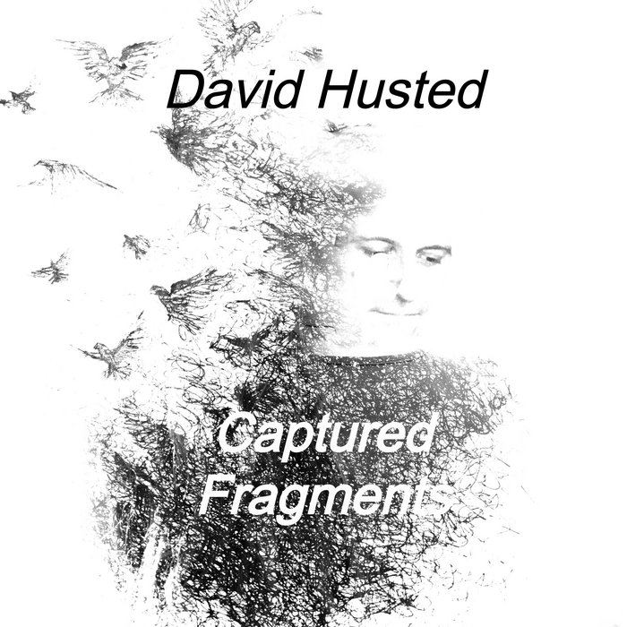 Captured Fragments | David Husted