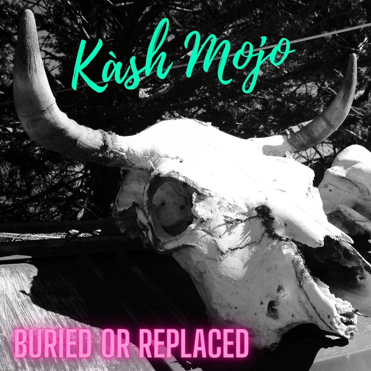 Buried or Replaced | Kàsh Mojo | Evan Woodward