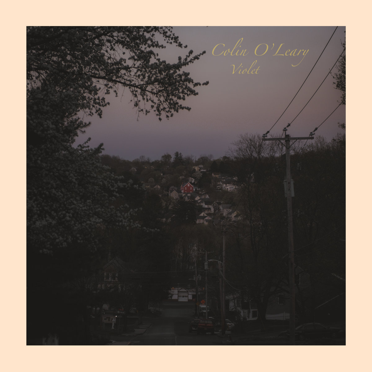 Violet | Colin O'Leary