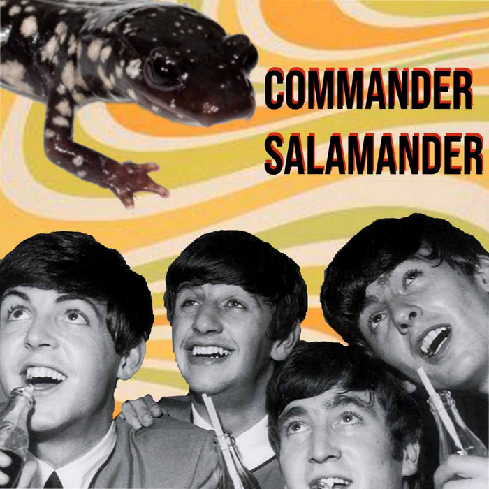 Commander Salamander | Commander Salamander | 801 Sessions