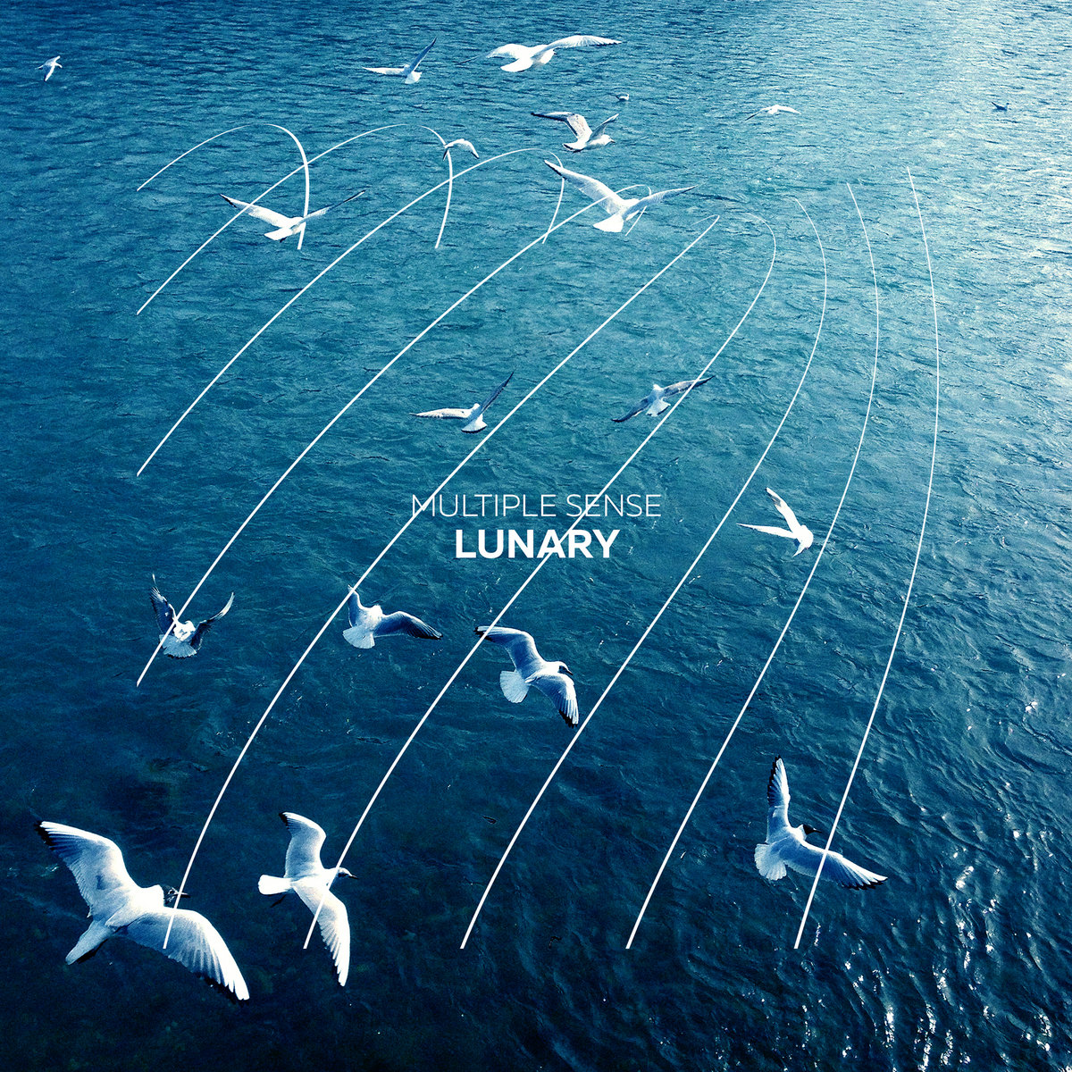 Lunary | Multiple Sense | Abstrakt Reflections