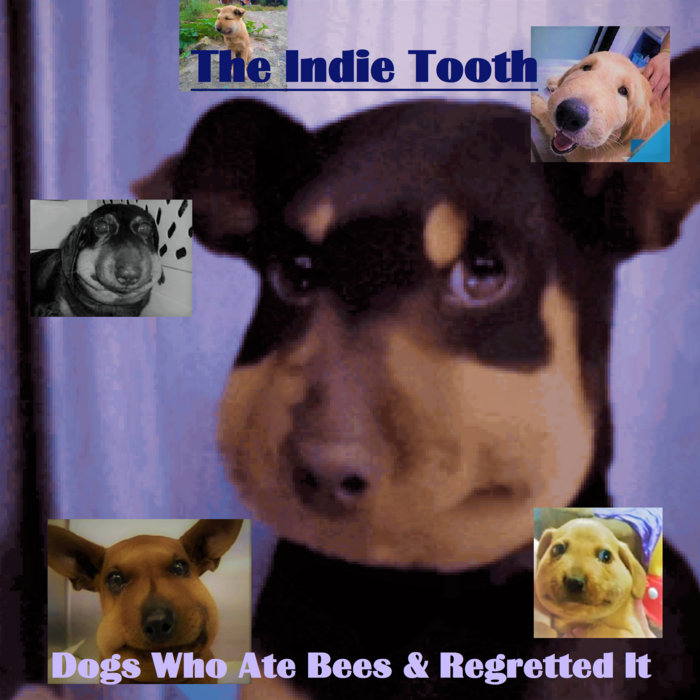 Dogs Who Ate Bees & Regretted It | The Indie Tooth