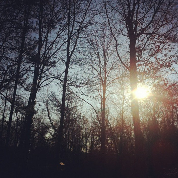 Demos | Parker Munson