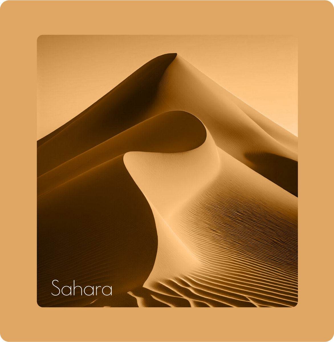 Sahara | M.G