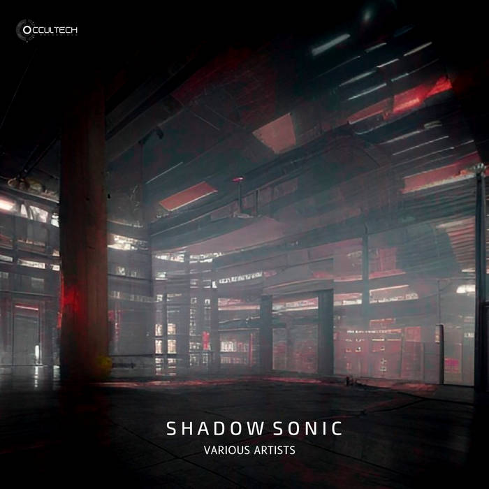 Sonic Shadow And The Night