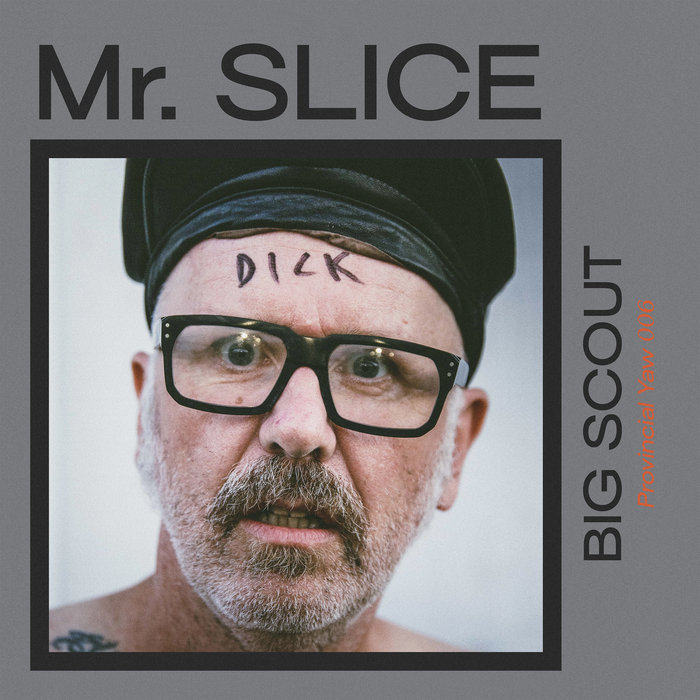 Mr. Slice | Big Scout