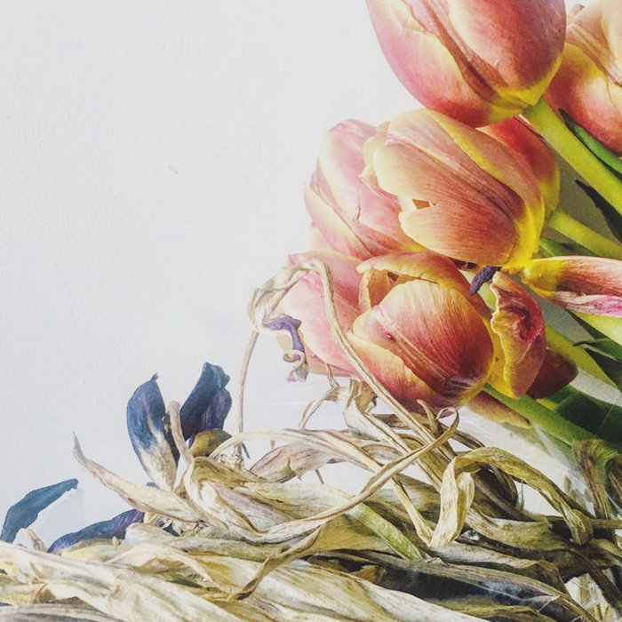 Do Kogo | M*ramax | Father And Son Records And Tapes