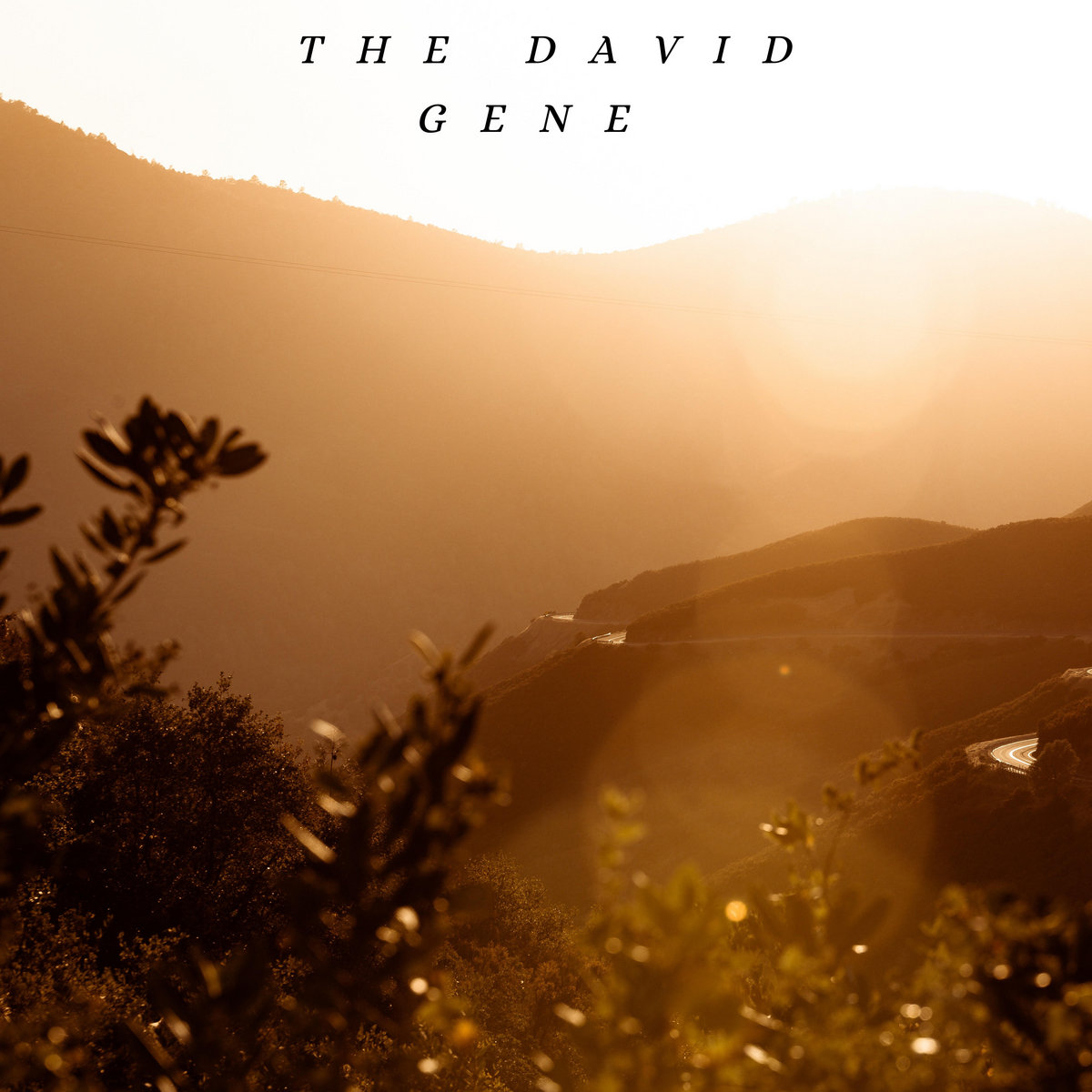 Golden Throne (Acoustic Demo) | Samuel McGregor / The David Gene