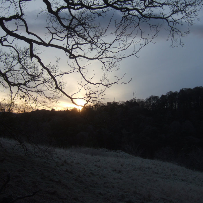 Orchestral Sketches | Mark Bisson