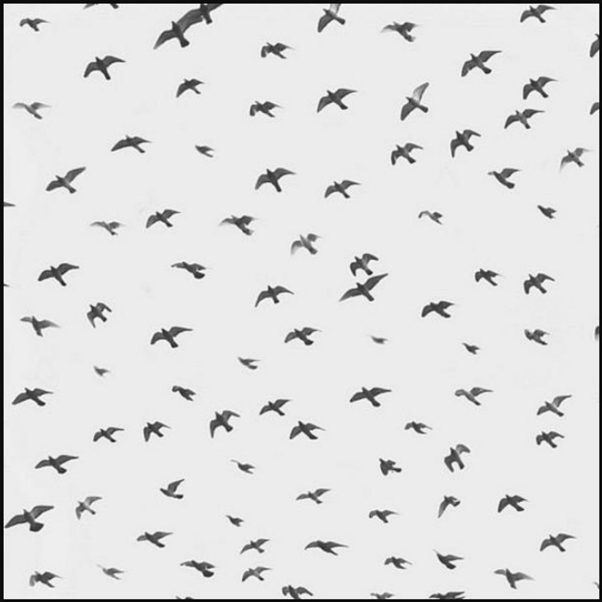 Lezvazo | Ivan Samshit