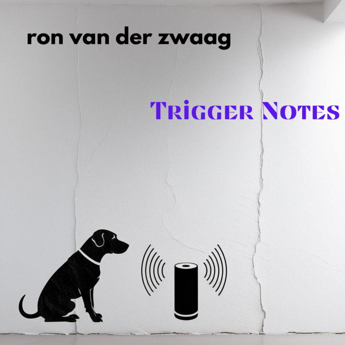 Trigger Notes | ron van der zwaag
