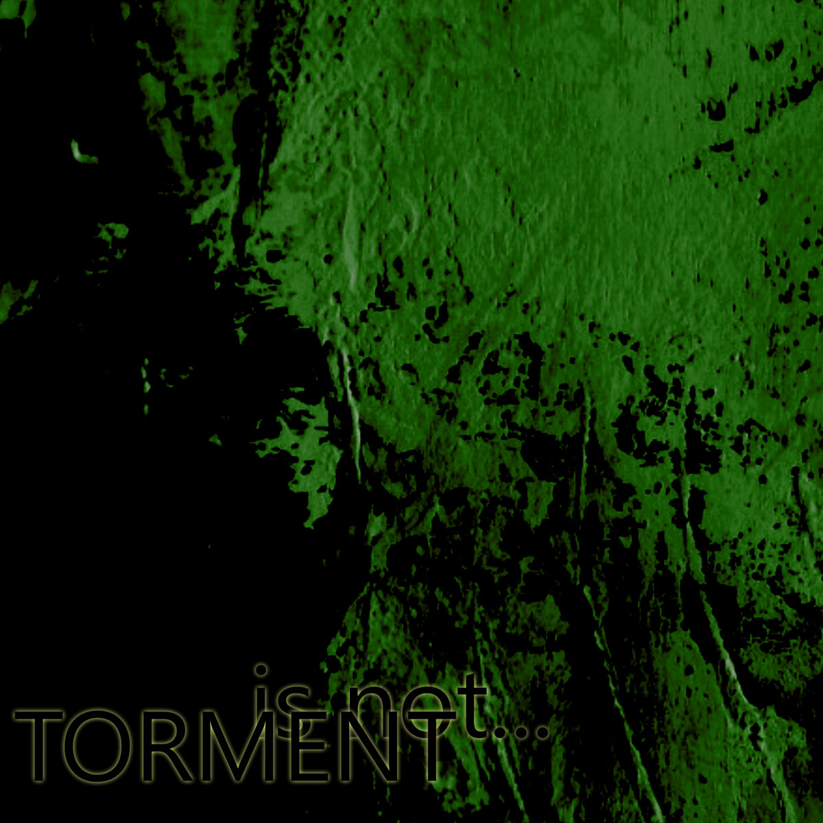 TORMENT | is not... | Cry! Records