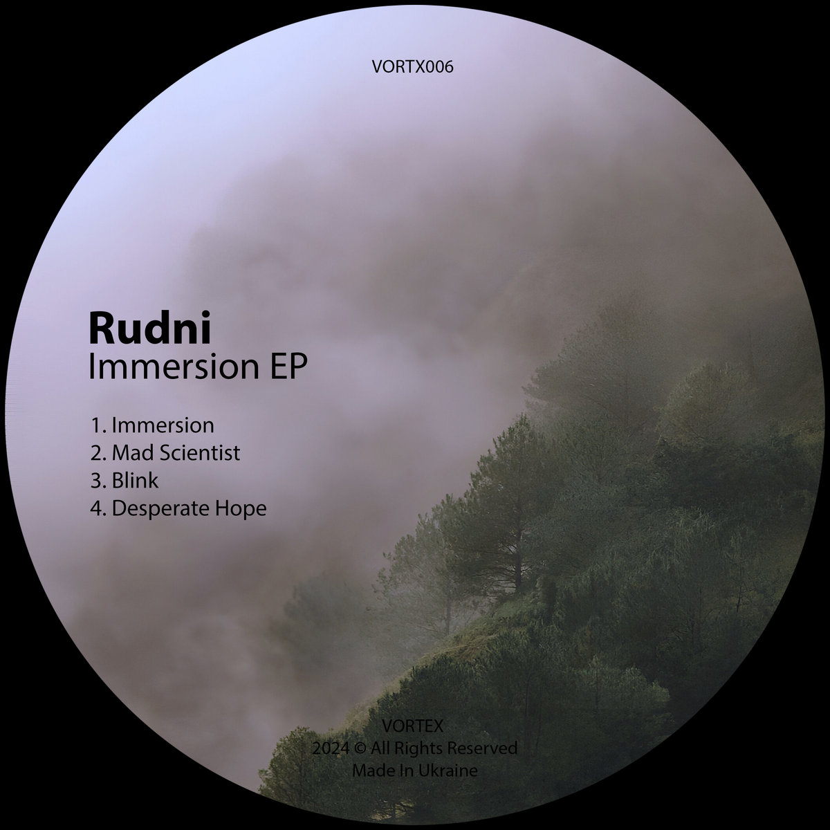 Immersion EP (VORTX006) | Rudni | VORTEX