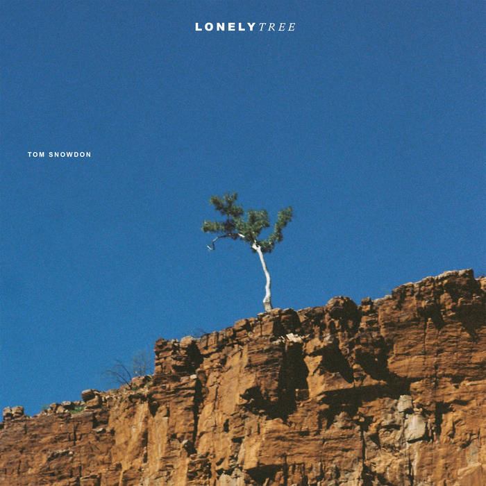 Tom Snowdon – Lonely Tree – out out