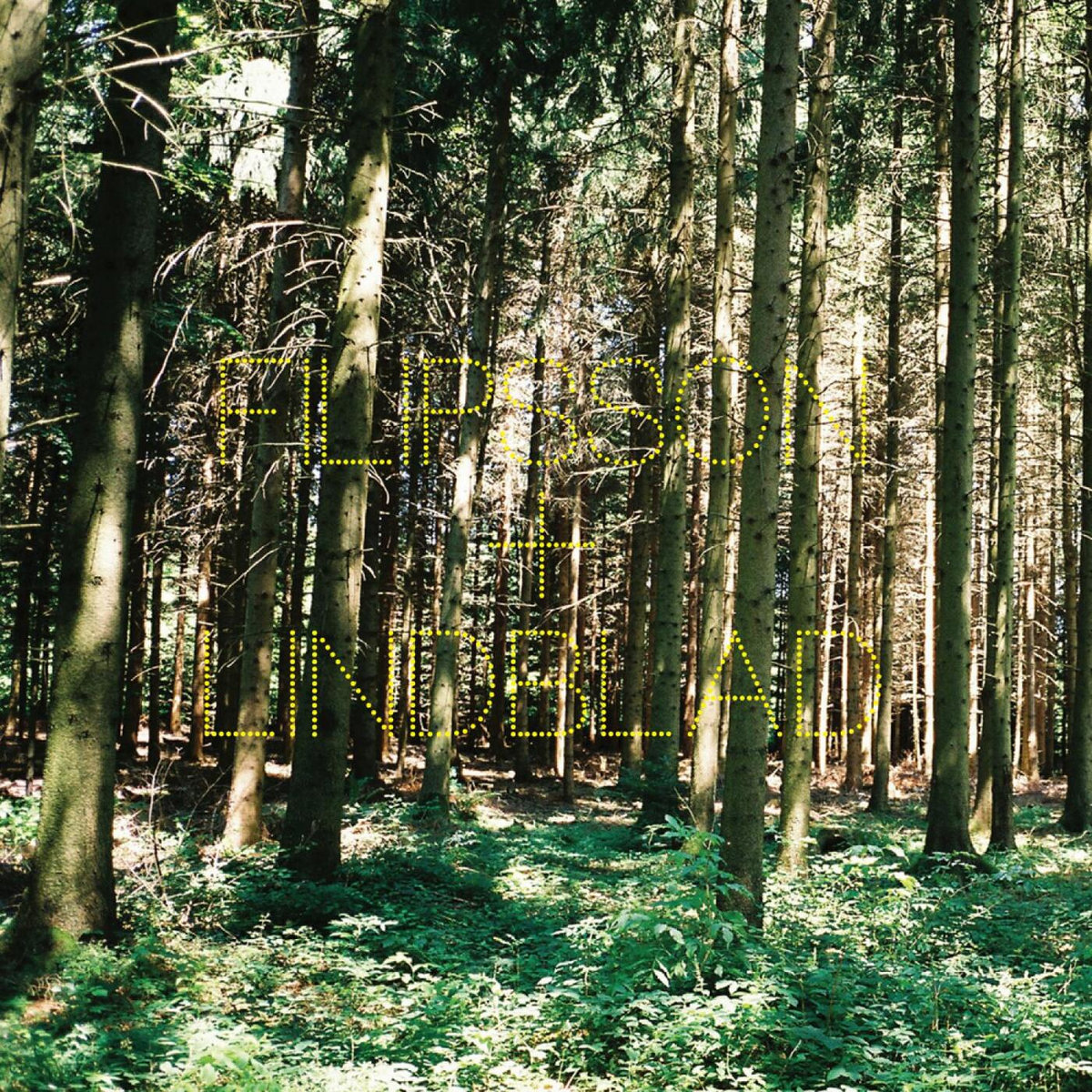 A Splendor In The Grass | Filipsson And Lindblad | Nang Records