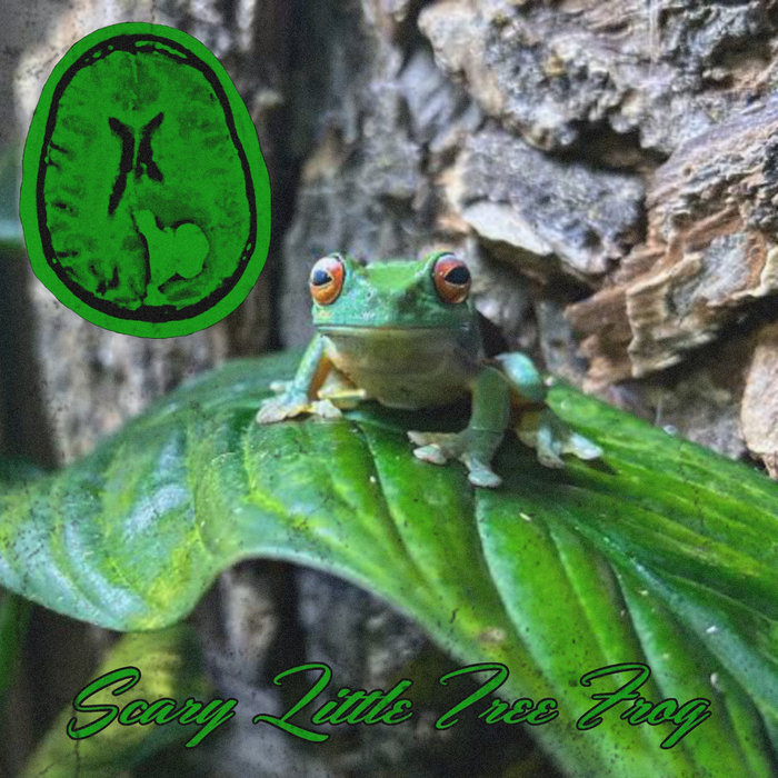 BOMBINATORIDAE - SCARY LITTLE TREE FROG | Outpatient Noise Production
