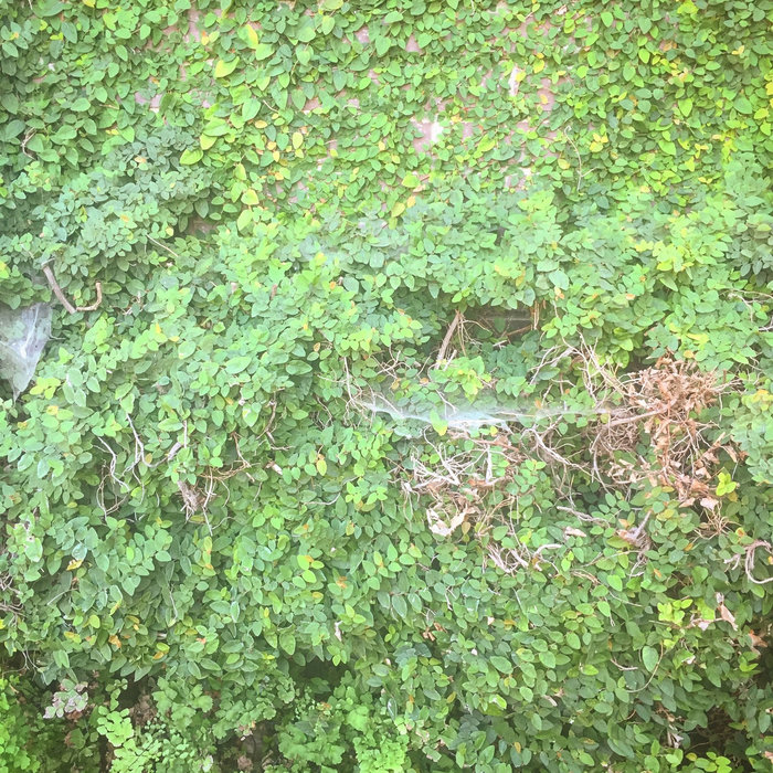 Organic/Instrumental/Vocal | Alper Atrek