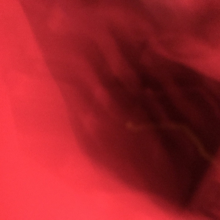 Birthday of A Dead Friend | Junk Mutt