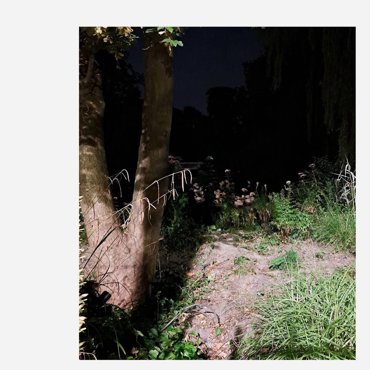 Loose Paving and Rough Sea (from Subliminal Skull Palace Vol. 5 ...