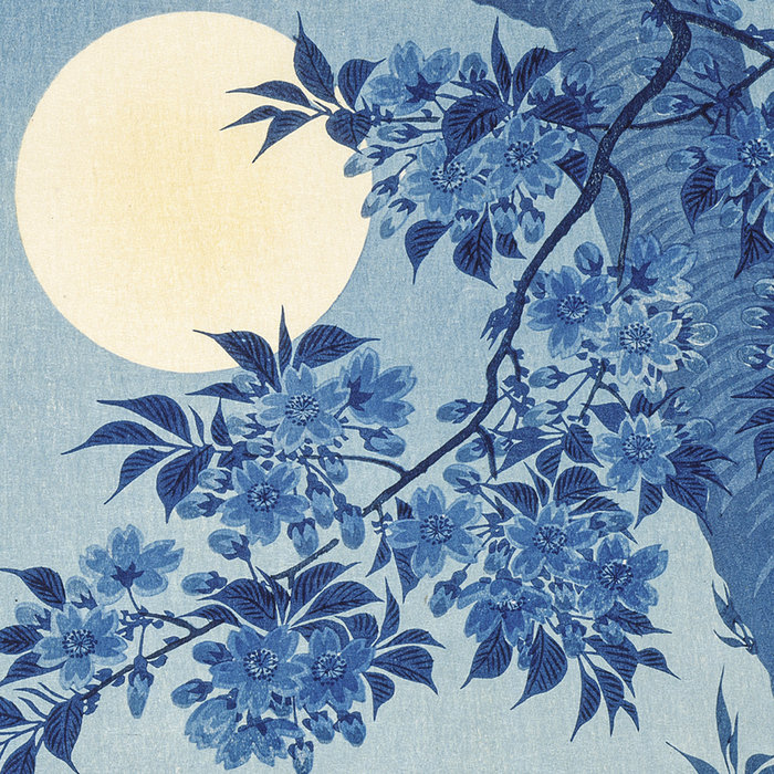 moonlight | bloom terrace