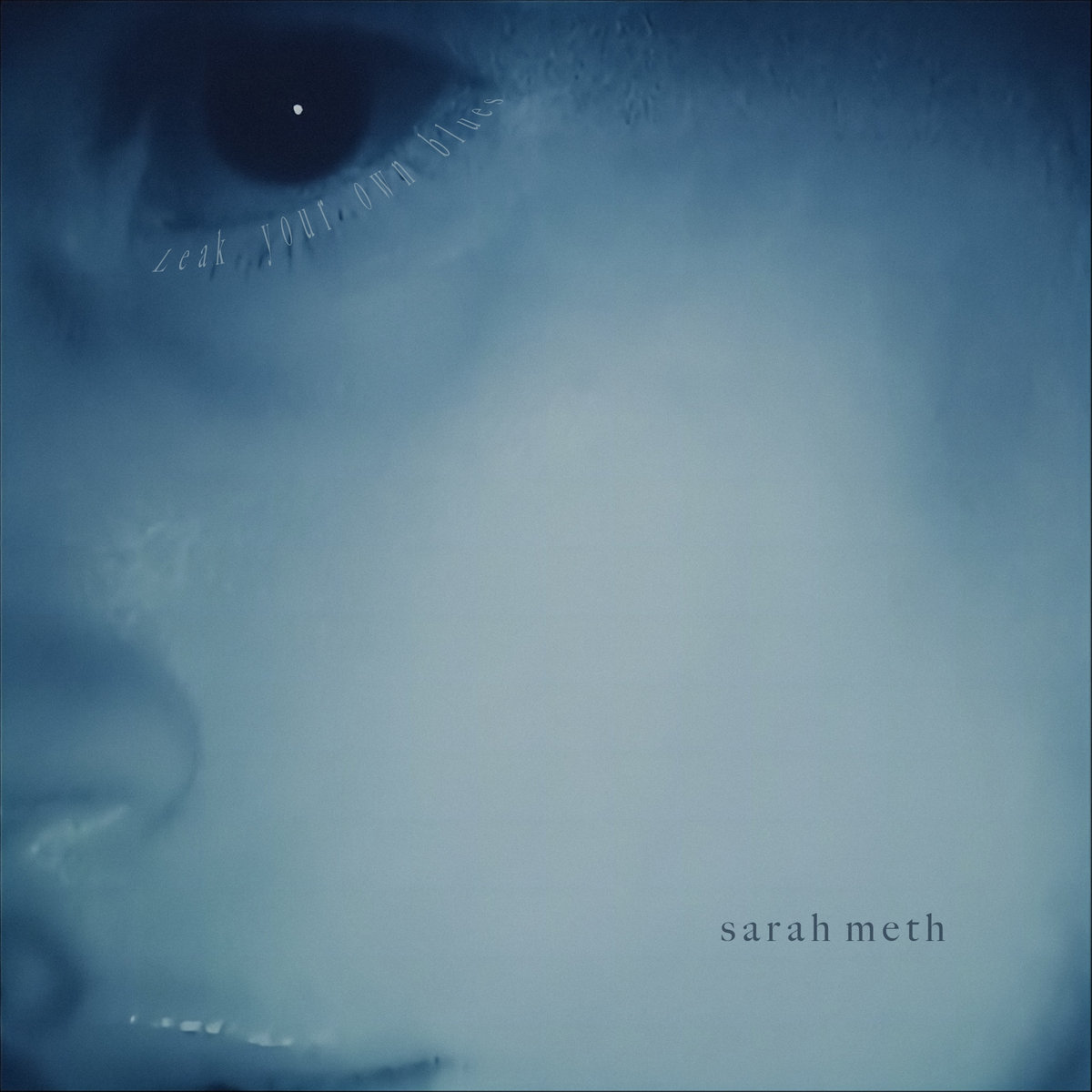 Leak Your Own Blues | Sarah Meth