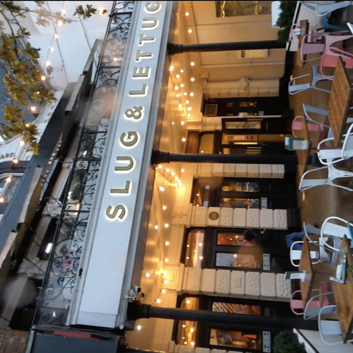 Row Upon Row of Identical Red Brick Houses | Vitriol Works