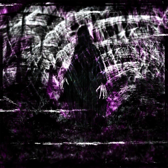 Split w/ D.B. Cooper & Posession1981 | Lotus Eater Machine