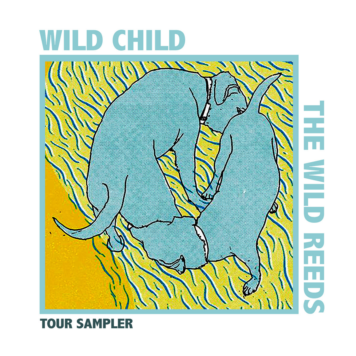 Wild Child The Wild Reeds Tour Sampler Wild Child The Wild Reeds