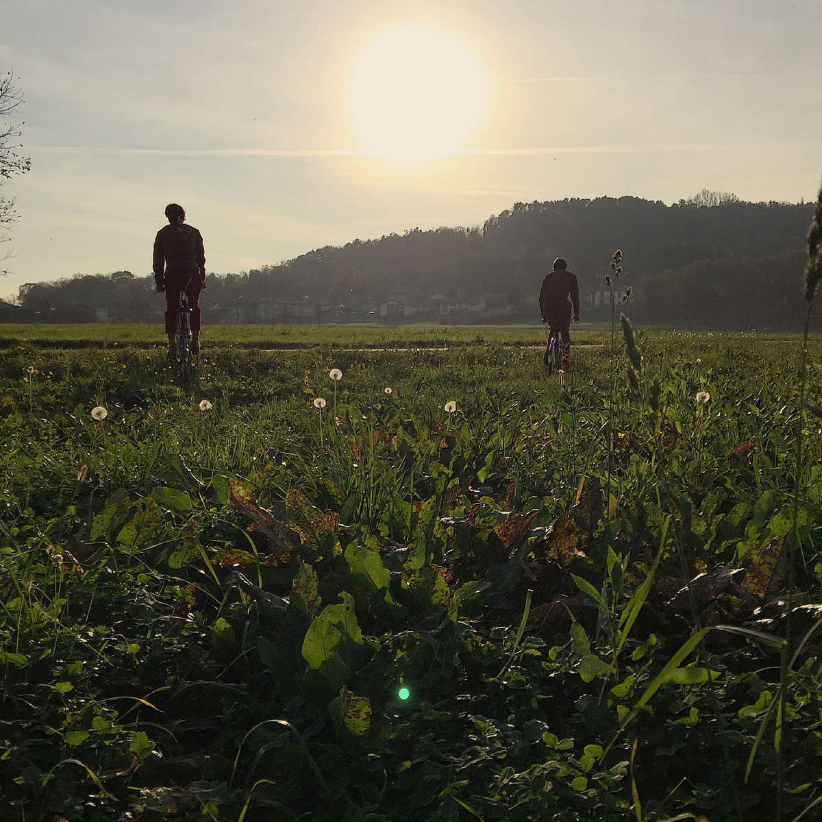 Liminal Tales | Aner Andros