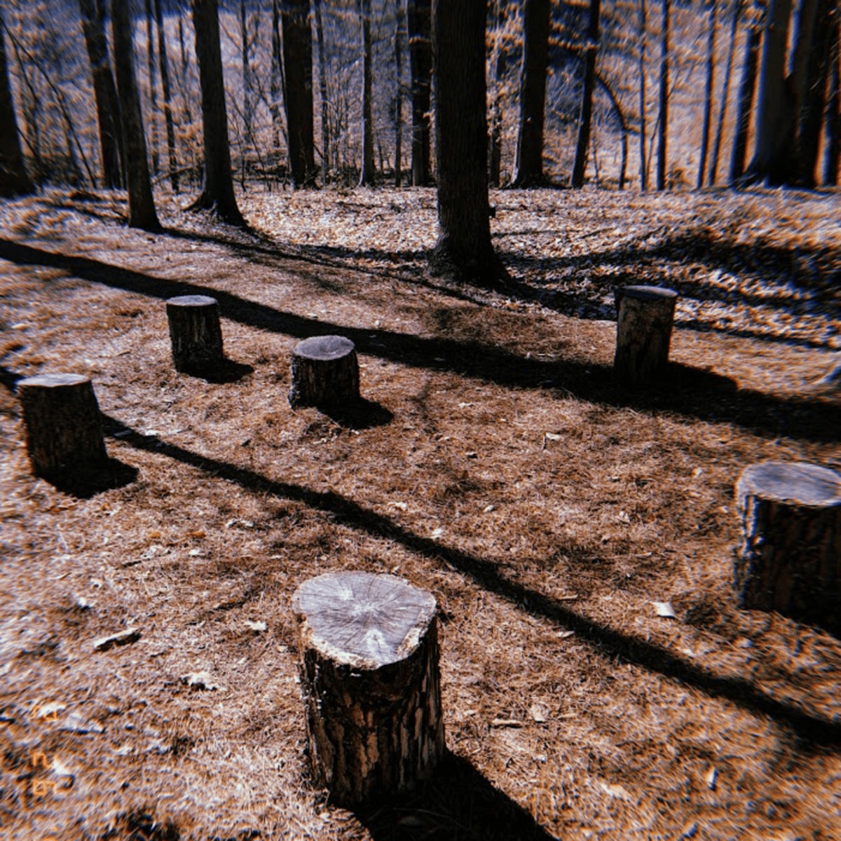 Grabby Grabby Little Hands | Stenka Razin