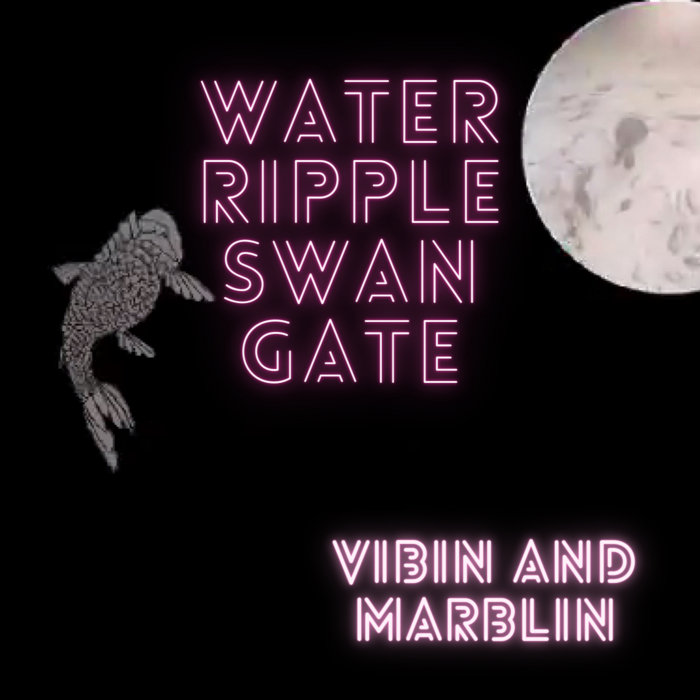 Water, Ripple, Swan, Gate | Vibin and Marblin | Jackie Walduck