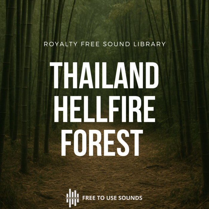 Bamboo Forest Ambience – Hellfire Pass, Thailand | freetousesounds