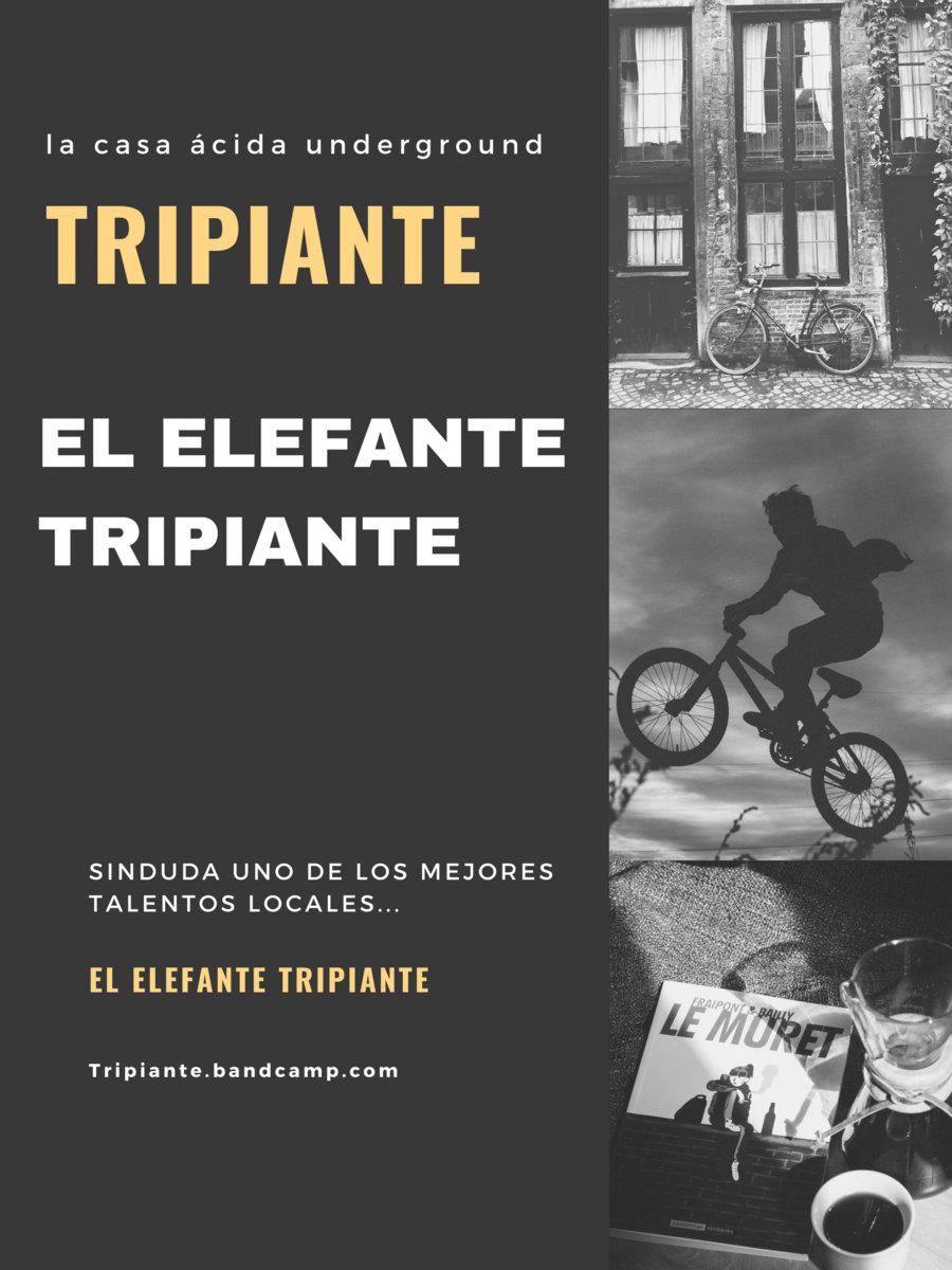El Elefante Tripiante (Original Mix) | Tripiante