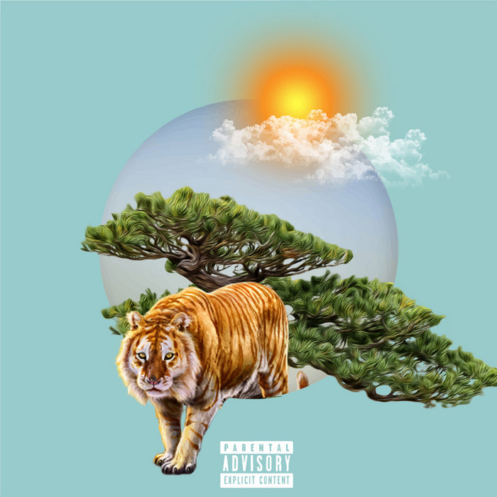 Voyage of The Last Liger | Ralph Solo