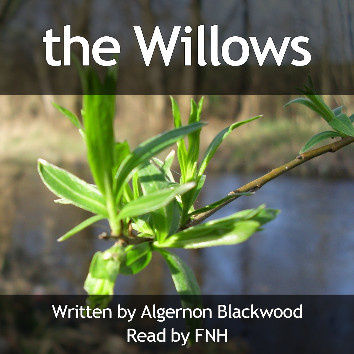 The Willows | Algernon Blackwood, read by FNH | FNH Audio