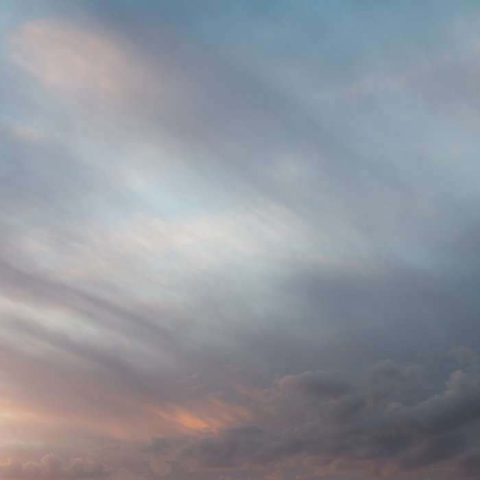 Bad Memory | Jason Milton