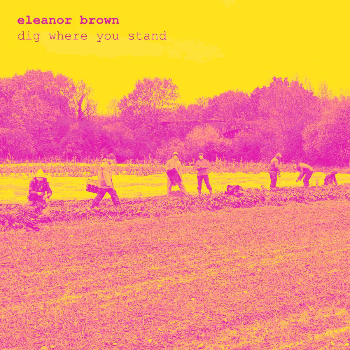 Dig Where You Stand (album) | Eleanor Brown