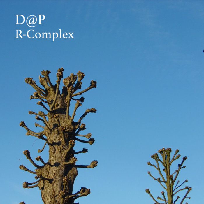 R-Complex | D@P | etchedtraumas