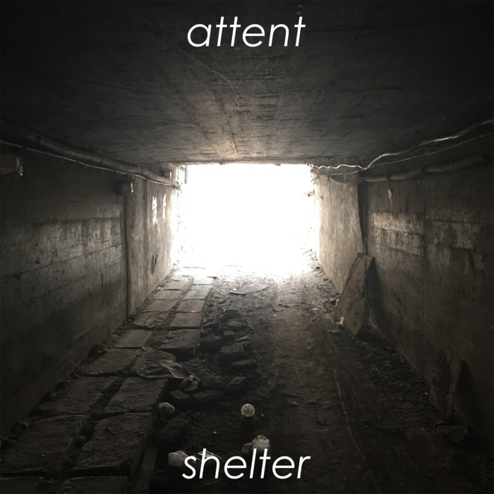 Shelter | wrrd