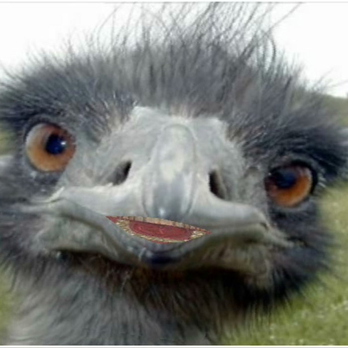 Album of 1000 Feathers | President Squirrel (John Knott)