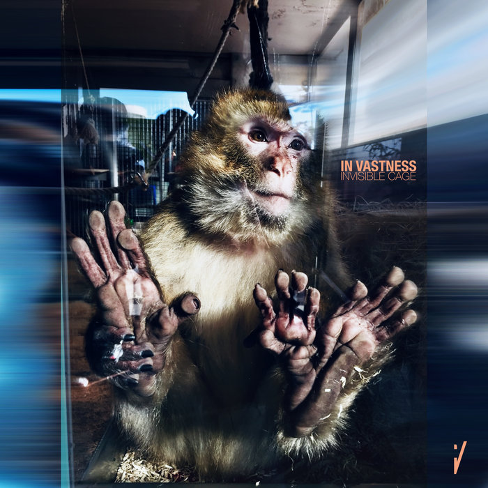 Invisible Cage | In Vastness