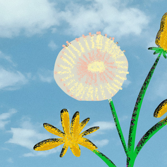 Dandelion | Pulsing Chunky | Melt Records