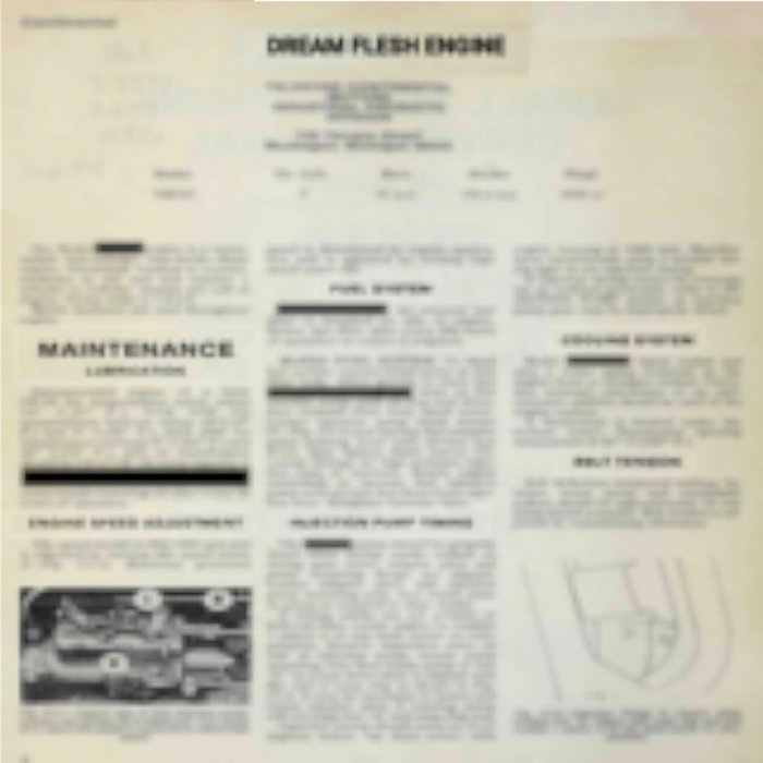 flesh dream engine | iivybeaar | embaarrasingarchiive