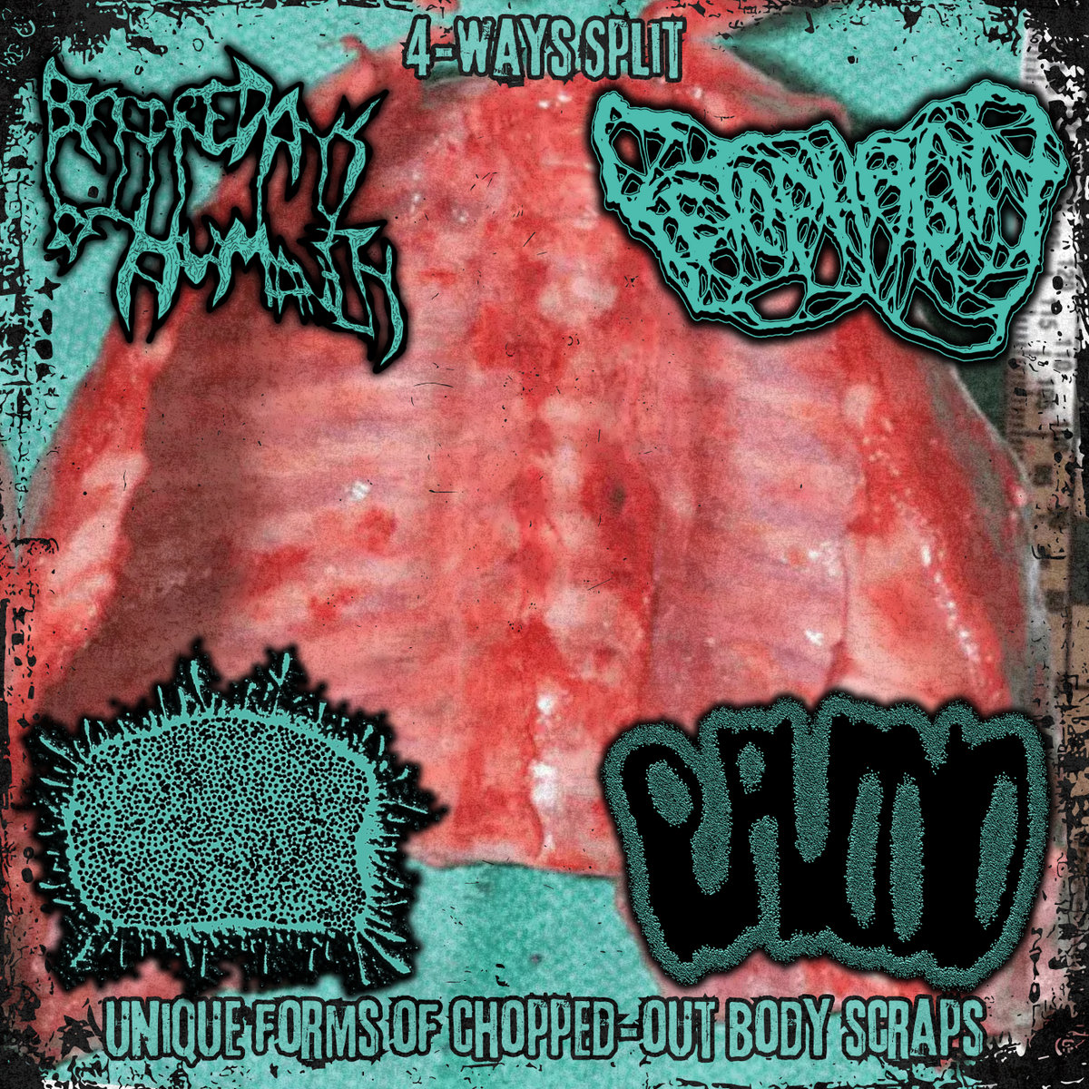 UNIQUE FORMS OF CHOPPED OUT BODY SCRAPS | Puruloid, Fetophagia ...