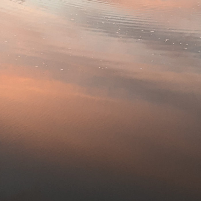 simple complex | Ari