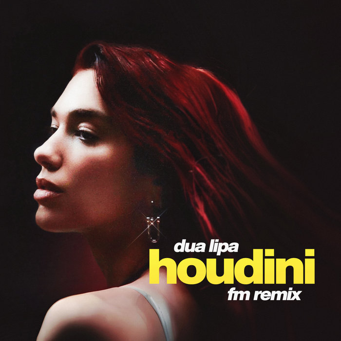 Houdini (fm remix) | Dua Lipa, Fenty Music | FM Music