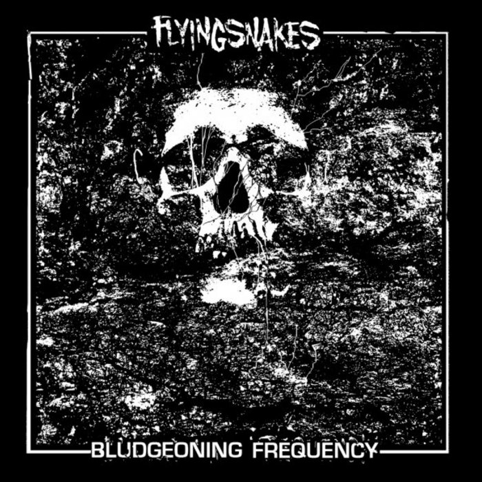 Bludgeoning Frequency | flyingsnakes