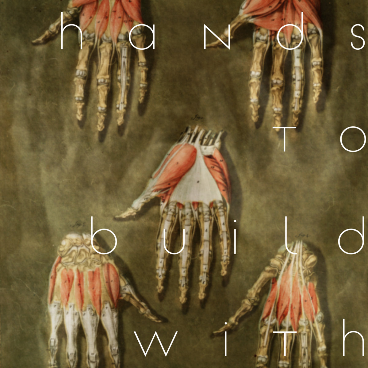 HANDS TO BUILD WITH | Shaun Hathaway