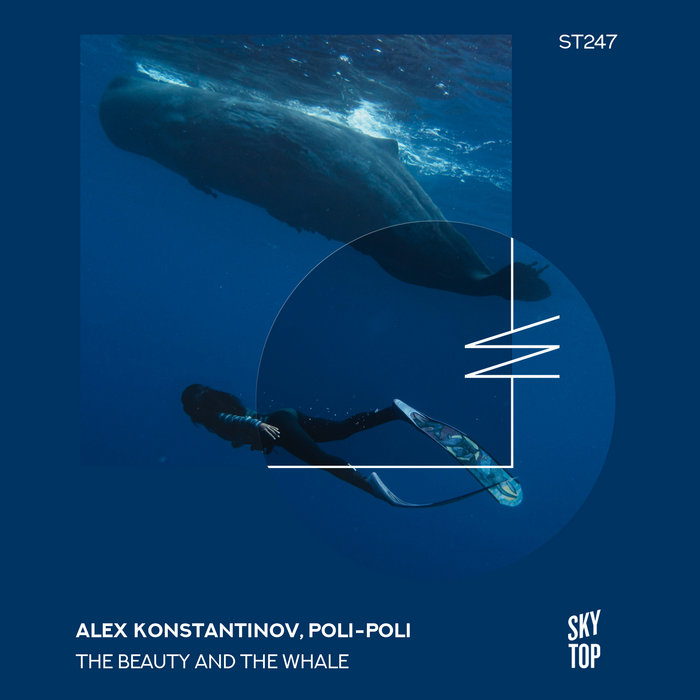 Alex Konstantinov, Poli-Poli - The Beauty and the Whale | Alex ...