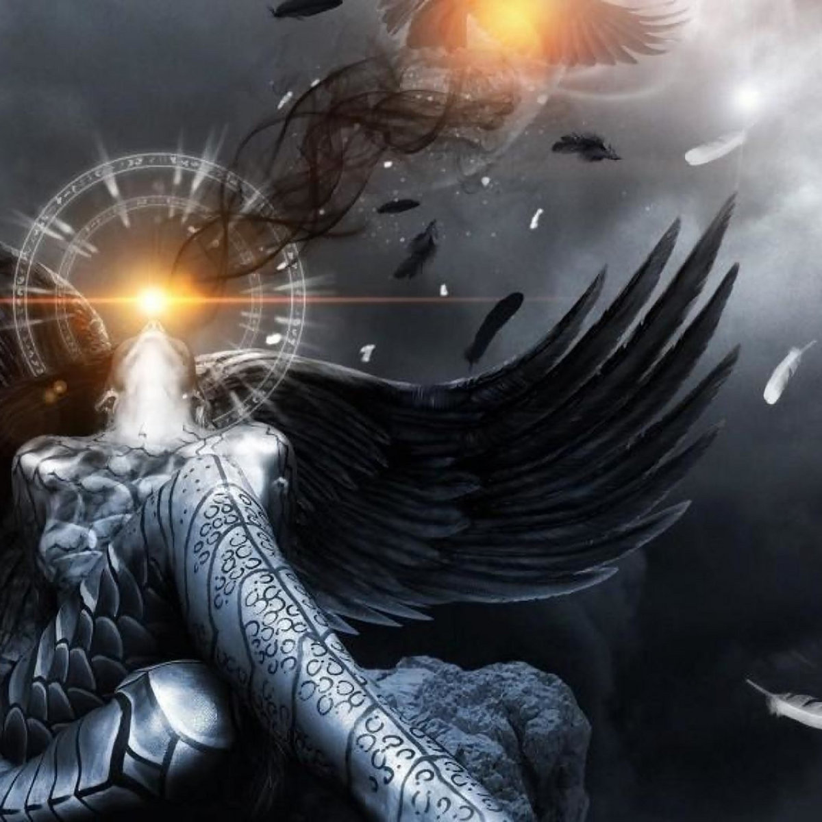 Watching An Angel Fall | Kevin William Noonan